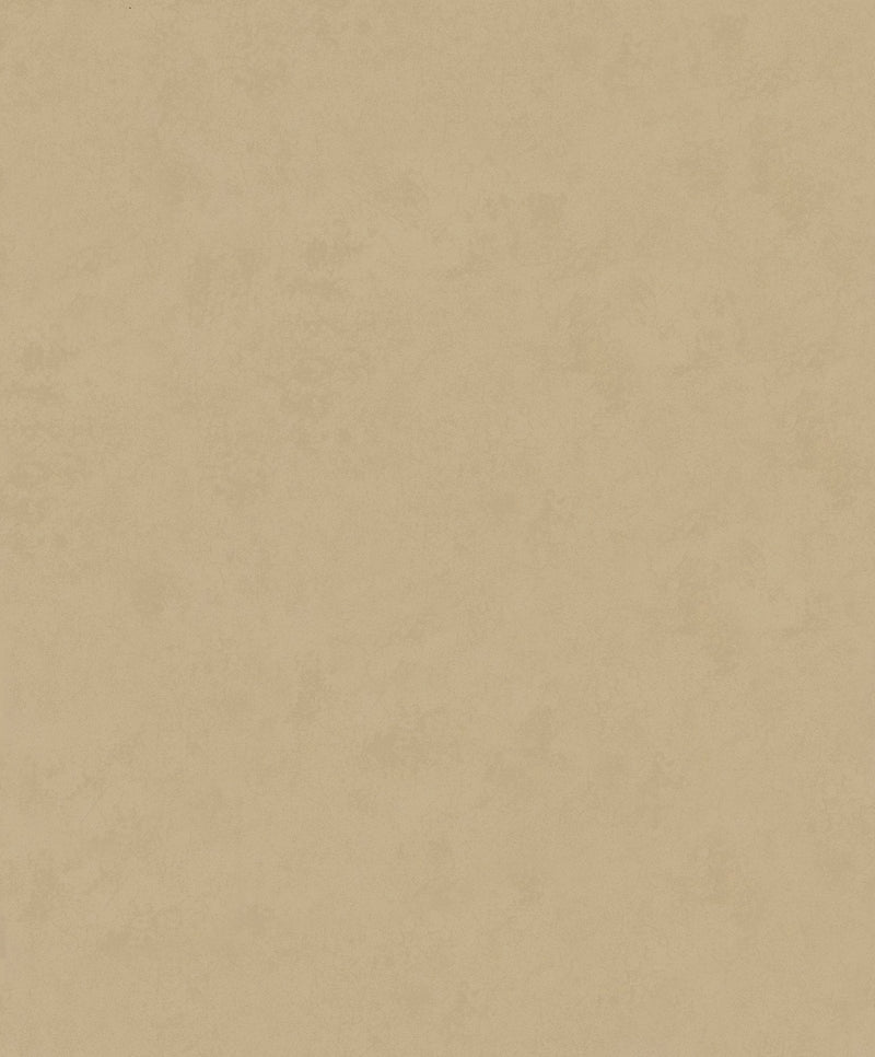 Shop Terra Uni Plain Texture Wallpaper in Beige | Burke Decor
