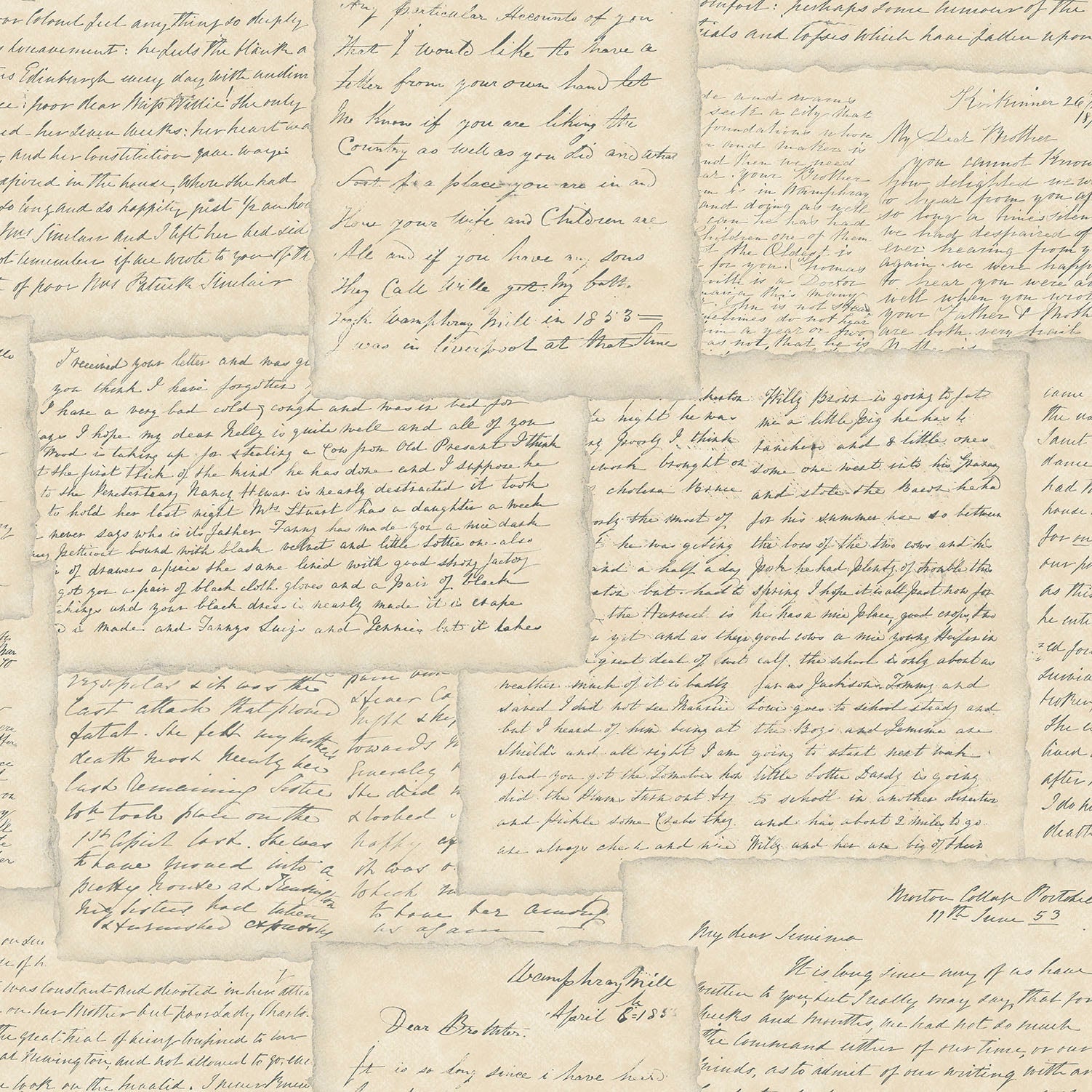 Shop Sample Family Letters Beige Wallpaper from the Nostalgie ...